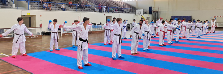 1.ª Prova Da Liga De Karate AAKDA 2025/2026 Abriu Temporada Na Ribeira ...